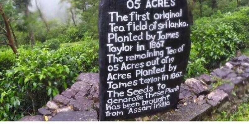 From Kandy: James Taylors Tea Tour (The Tale of Ceylon Tea) - Practical Tips