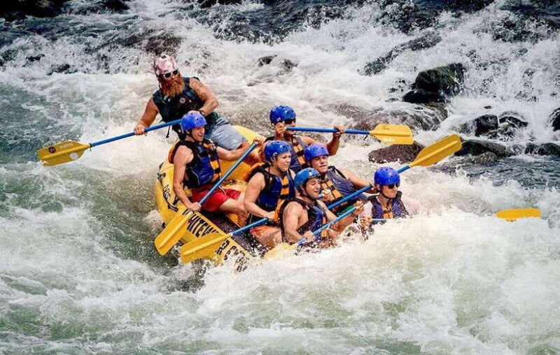 From Kandy: Kelani River White Water Rafting Day Trip - What Reviewers Loved Most
