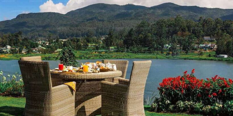 From Kandy: Nuwara Eliya by Train - Discover the Charm of Sri Lanka’s Tea Country by Train from Kandy