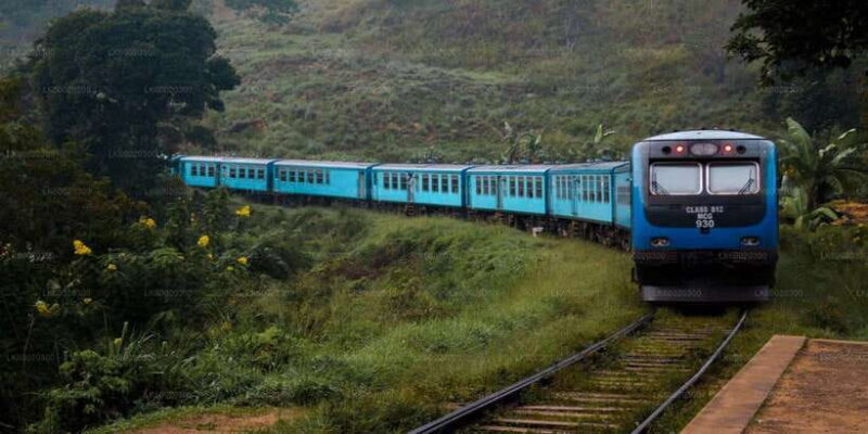 From Kandy: Nuwara Eliya by Train - An In-Depth Look at the Tour Experience