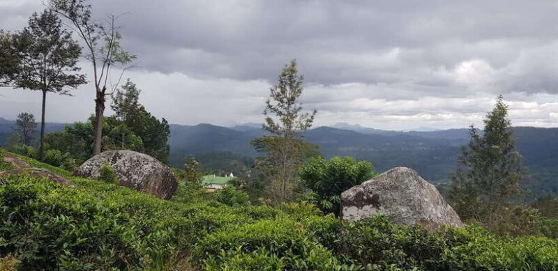 From Kandy: Nuwara Eliya Day Tour with Private Transfers - Key Points