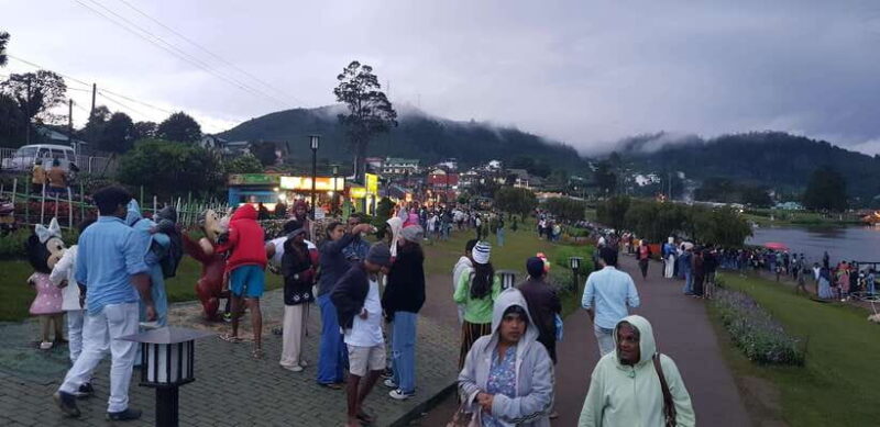 From Kandy: Nuwara Eliya Day Tour with Private Transfers - What Travelers Say