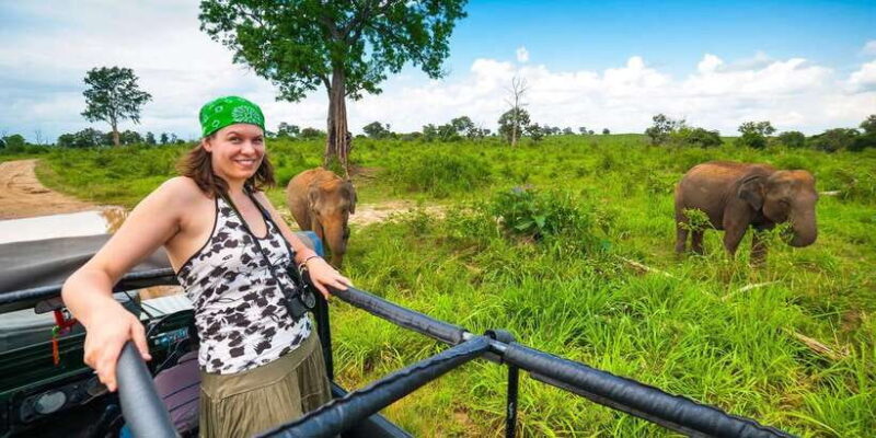 From Kandy: Pidurangala Rock and Minneriya National Park - The Sum Up