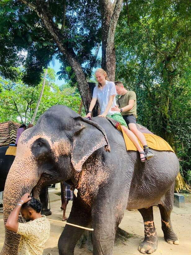 From Kandy : Pinnawala Elephant Orphanage & Ambuluwawa Tower - Key Points