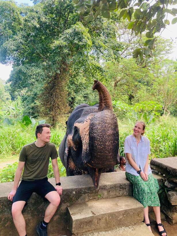 From Kandy : Pinnawala Elephant Orphanage & Ambuluwawa Tower - An In-Depth Look at the Tour Experience