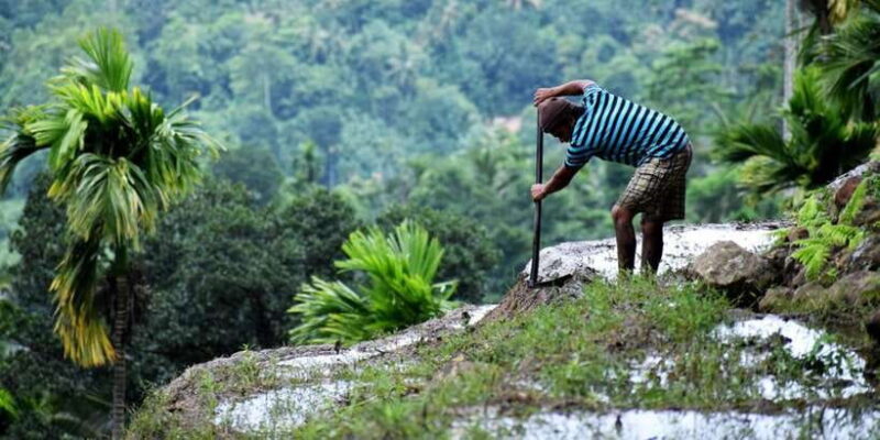 From Kandy: Private Guided Hike to Heeloya - The Village Lunch: A Feast on Banana Leaves