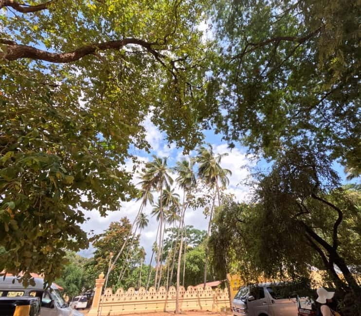 From Kandy: Sigiriya & Dambulla Day Tour with Safari - FAQs