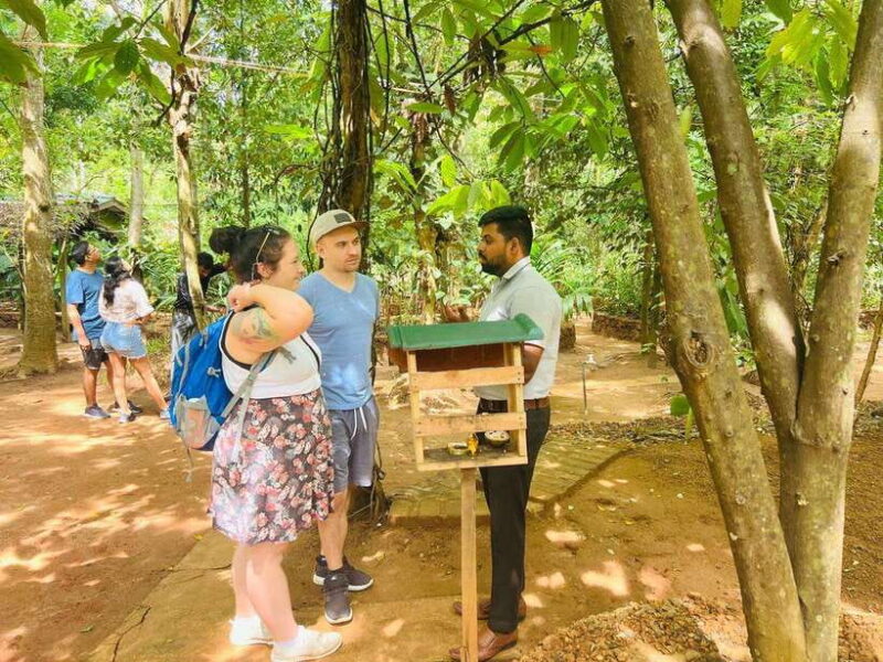 From Kandy: Sigiriya Day Tour with Elephant Safari(group) - Who Will Love This Tour?