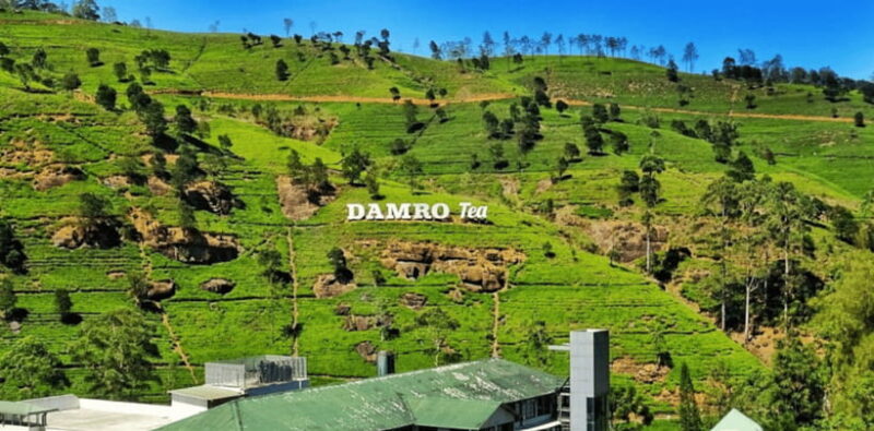 From Kandy: Tea Factory Tour with Ramboda Waterfall Visit - Practical Details and What Travelers Should Know