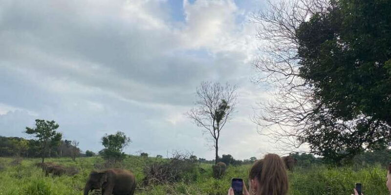 From Kandy to Sigiriya Day Tuk Tuk Trip - Final Thoughts