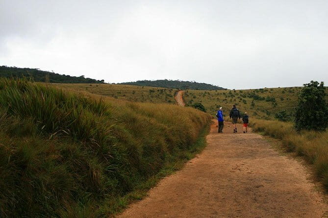From Kandy to sigirya day tour bay car and van - Who Should Book This Tour?