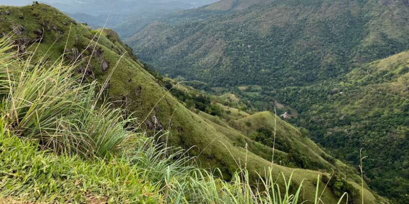 From kandy Train, and Pool Club Day Tour with Pickup - Early Morning Departure and Scenic Drive