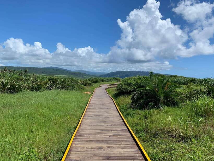 From Kaohsiung: Kenting & Ocean Coast Private Day Tour - Coastal Beauty: Sail Rock Beach & Eluanbi Lighthouse