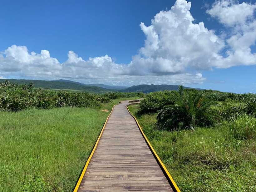 From Kaohsiung: Kenting & Ocean Coast Private Day Tour - The Southernmost Point & Longpan Park