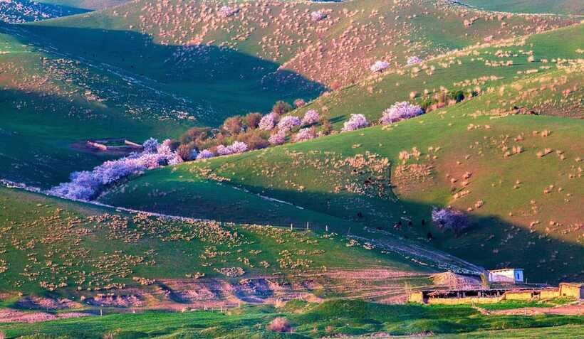 From Kashgar: 5-Day Silk Road Adventure with Accommodation - Exploring the Pamir Scenic Area and Golden Grass Beach