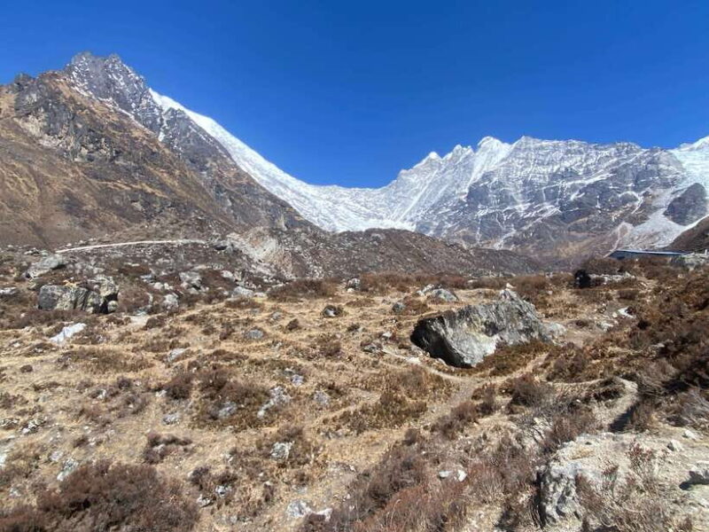 From Kathmandu: 10-Day Langtang Valley Trek - The Experience Quality