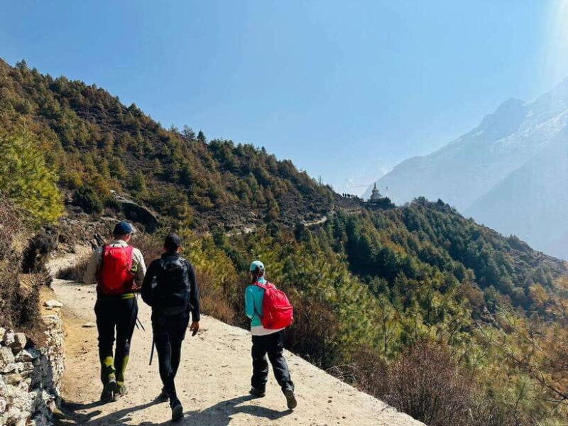 From Kathmandu: 12-Day Everest Base Camp Guided Trekking - What Travelers Say: Authentic Voices