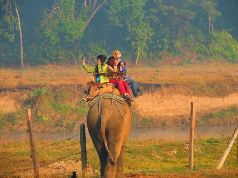 From Kathmandu: 3-Day Chitwan National Park & Elephants Tour - What we love about this tour