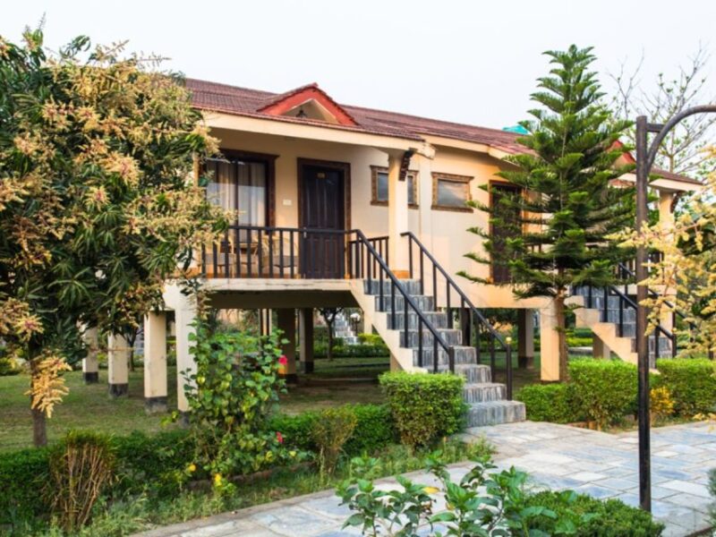 From Kathmandu: 3-Day Chitwan National Park & Elephants Tour - What’s Included and What’s Not