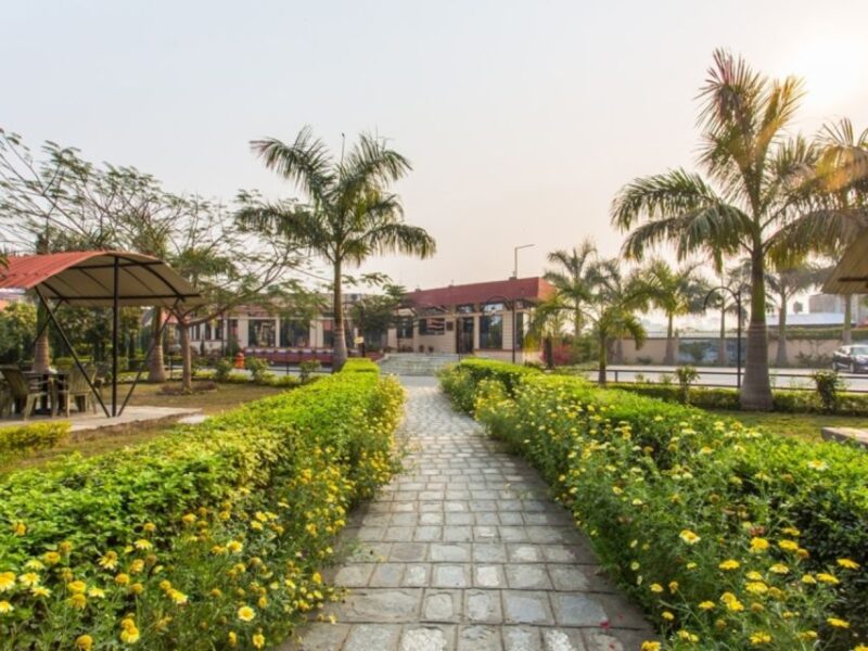 From Kathmandu: 3-Day Chitwan National Park & Elephants Tour - Is This Tour Worth the Price?