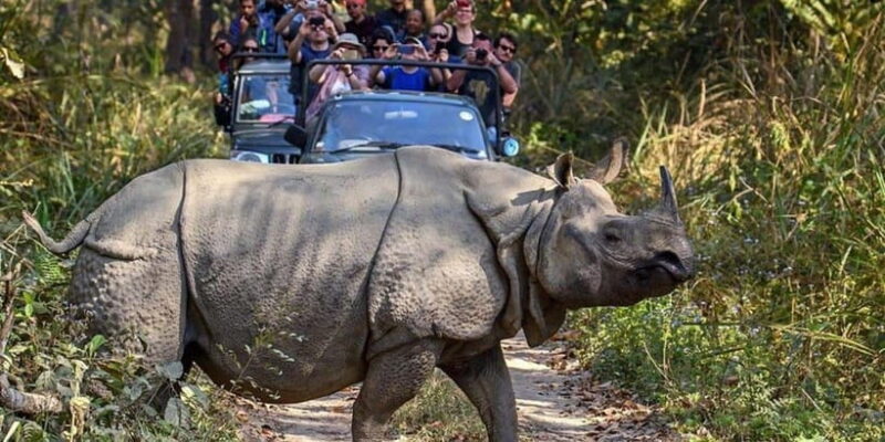 From Kathmandu: 4-Day Chitwan National Park Tour - Who Should Consider This Tour?