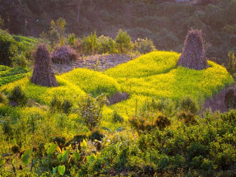 From Kathmandu: 5-Day Chisapani to Nagarkot Trek - Authentic Experiences and Highlights