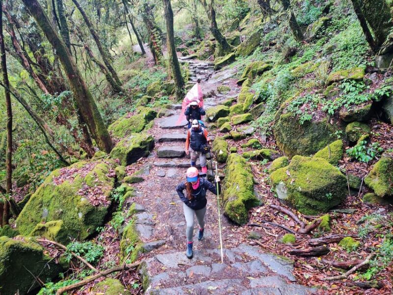 From Kathmandu: 5 Days Annapurna Base Camp Trek with flight - Transportation and Group Size