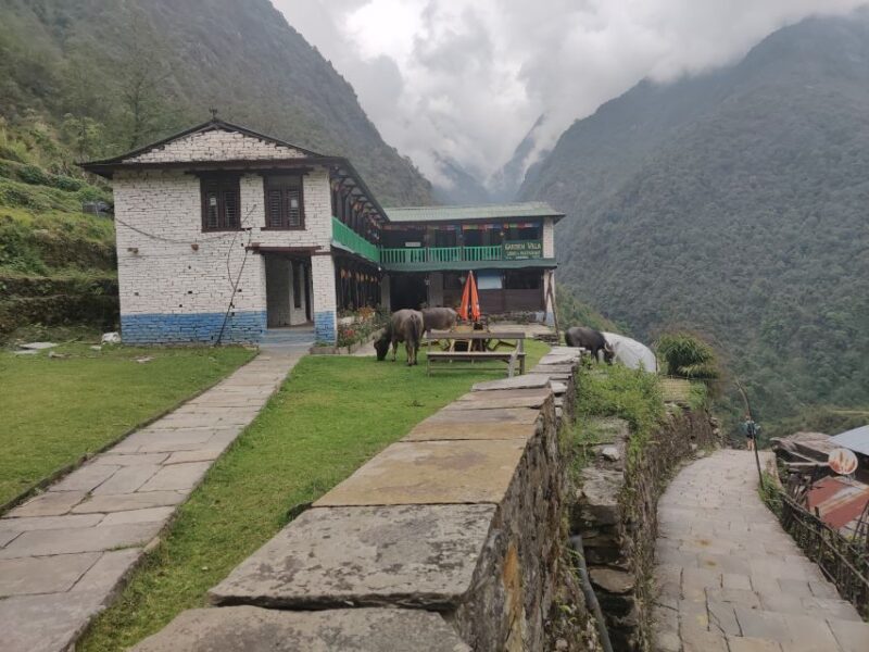 From Kathmandu: 7-Day Annapurna Basecamp Trek - The Downside: Considerations and Caveats