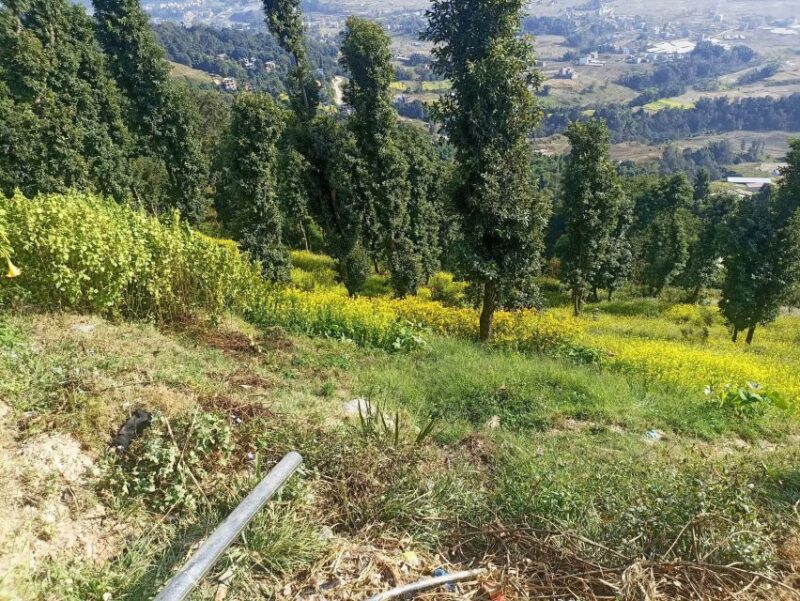 From Kathmandu: Nagarkot Hike with Mount Everest View - Who Should Consider This Tour?