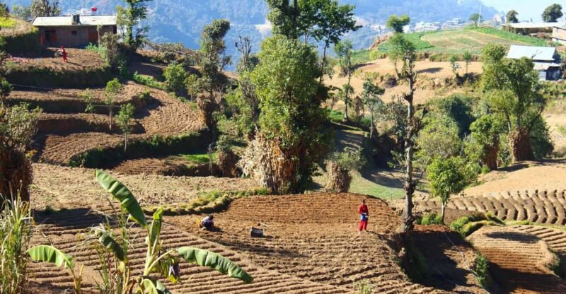 From Kathmandu: Nagarkot Sunrise and Changu Narayan Temple - Key Points