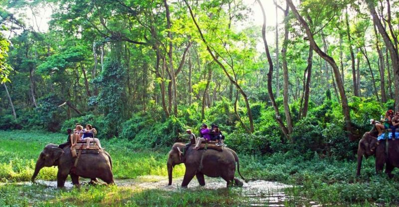From Kathmandu or Pokhara: 1 N 2D Day Chitwan wildlife Tour - In The Sum Up