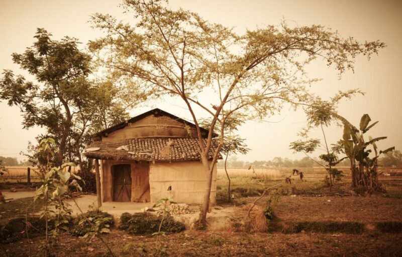 From Kathmandu or Pokhara: 3 Nights Chitwan Jungle Safari - Key Points