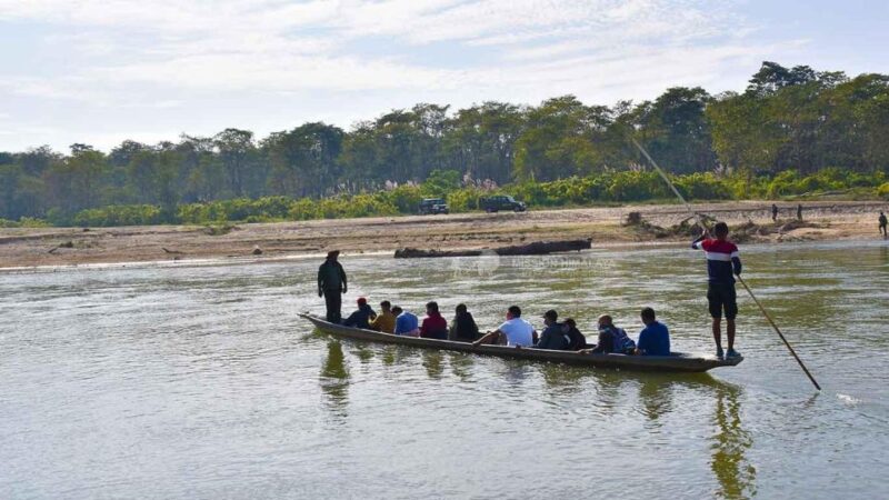 From Kathmandu or Pokhara: 3 Nights Chitwan Jungle Safari - Day 3: Further Safari and Village Leisure
