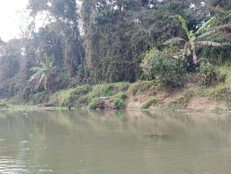 From Kathmandu or Pokhara: 4-Day Chitwan National Park Tour - FAQ