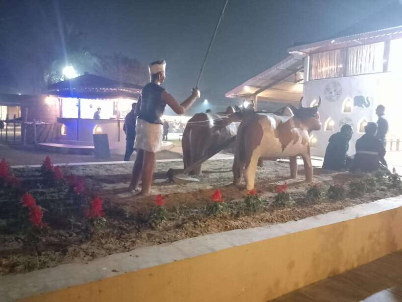 From Kathmandu or Pokhara: 4-Day Chitwan National Park Tour - The Itinerary Breakdown