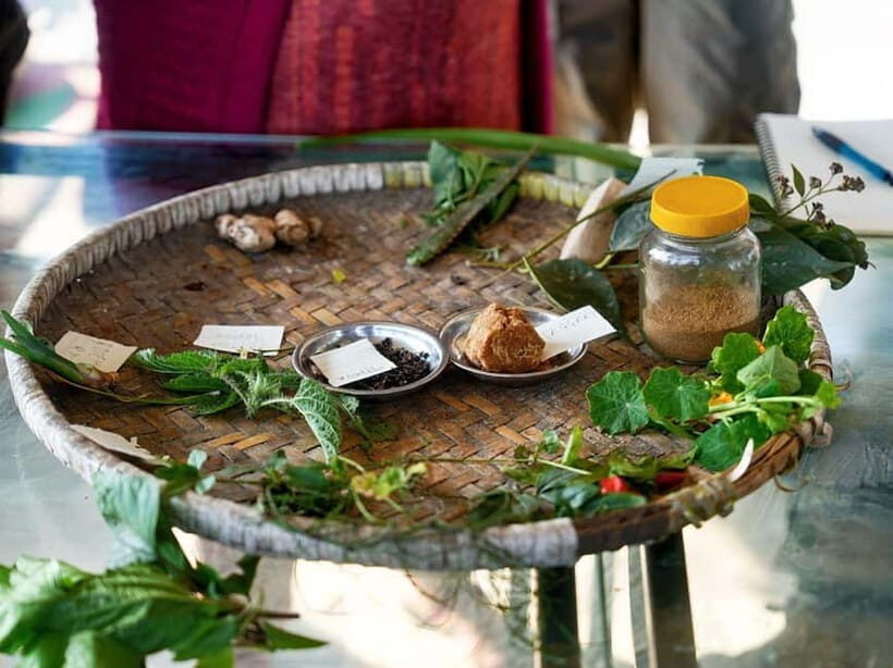 From Kathmandu: Patlekhet Permaculture Organic Farm Tour - Key Points