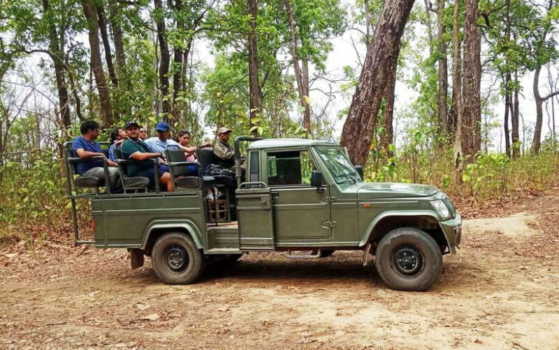 From Kathmandu/Pokhara: 2, 3, or 4-Day Chitwan Jungle Safari - Pricing and Value