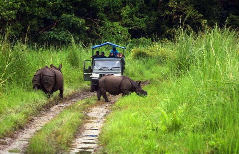 From Kathmandu/Pokhara: 2, 3, or 4-Day Chitwan Jungle Safari - Who Is This Tour Best For?
