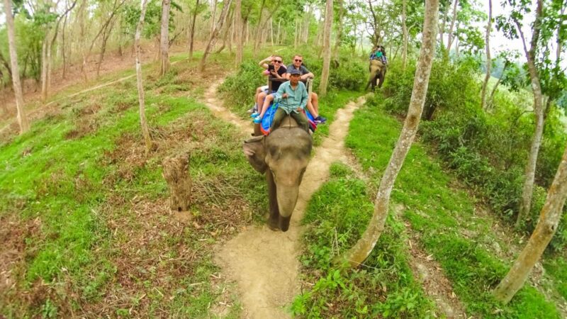 From Kathmandu/Pokhara: 3 Day All-Inclusive Chitwan Safari - What You Can Expect: A Day-By-Day Breakdown