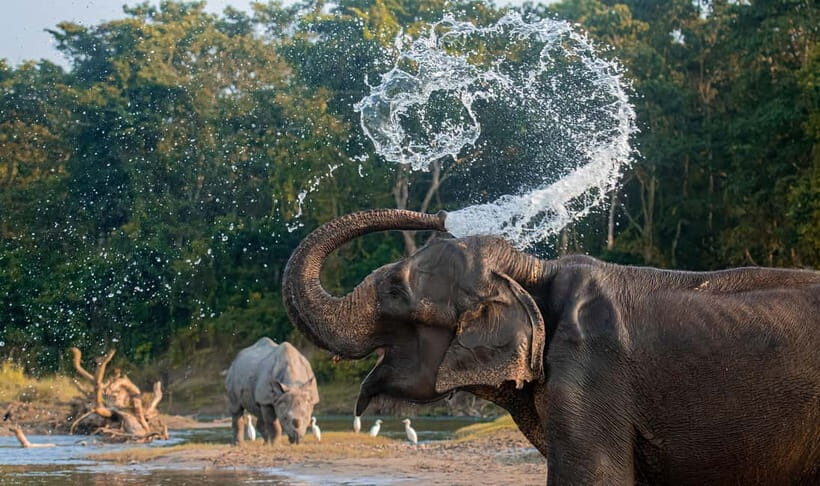 From Kathmandu/Pokhara: 3-Day Chitwan National Park Tour - Who is This Tour Best For?
