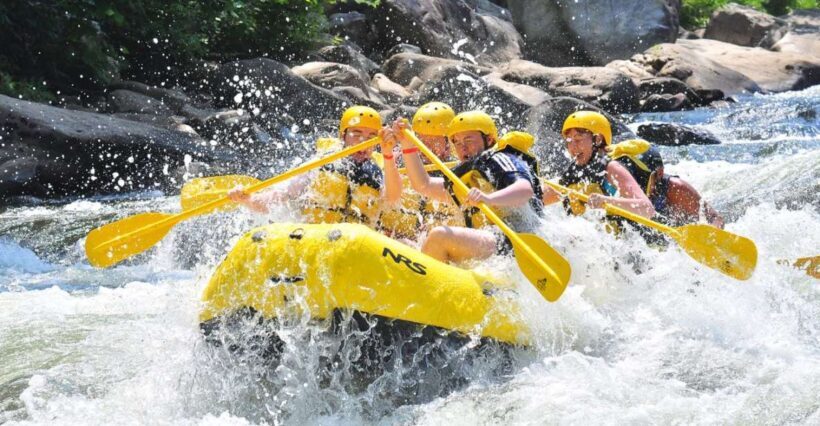 From Kathmandu / Pokhara / Chitwan: River Rafting - 1 Day - Who Should Consider This Tour?