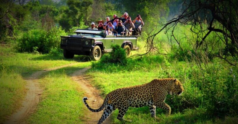 From Kathmandu/Pokhara: Private 3-Day Chitwan Safari Tour - Practical Tips for Travelers