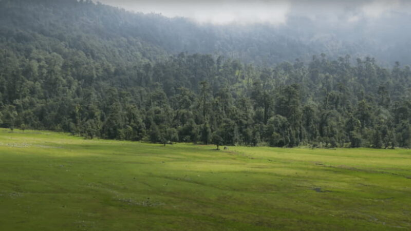 From Kathmandu: Ramaroshan Lakes 5-Day Tour - Who Would Love This Tour?