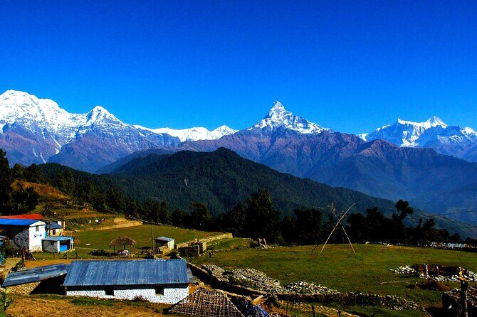 From Kathmandu:4 days camping trek to Australian Camp and Dhampus - Why This Tour Offers Great Value