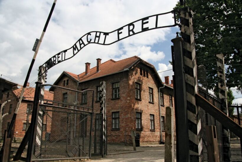 From Katowice: Auschwitz-Birkenau Skip-the-Line Guided Tour - Authentic Experiences and Real Feedback