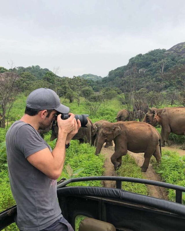 From Katunayake: Sigiriya, Dambulla, Polonnaruwa, and Kandy - Practical Tips for Travelers