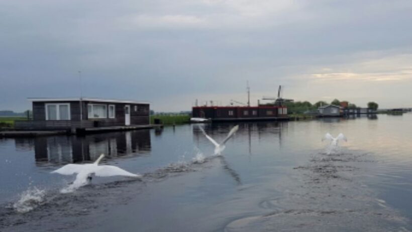From Katwijk: Kaag Lakes Cruise - Key Points