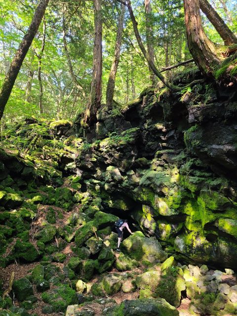 From Kawaguchiko: Mt. Fuji Private Tour With a Local Guide - Customer Reviews