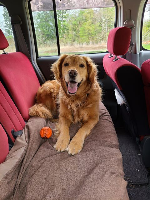 From Kawaguchiko: Mt. Fuji Private Tour With a Local Guide - Local Culture and Cuisine