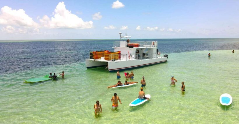 From Key West: Dolphin Watching Tour with Lunch & Drinks - Setting Sail from Key West: What to Expect